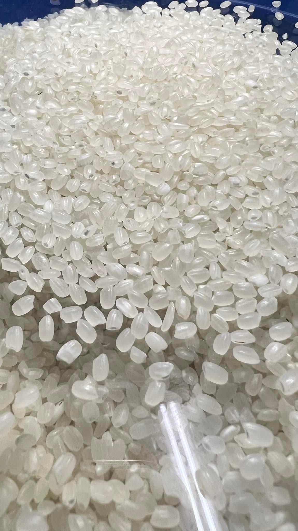Japonica/ Pearl/ Sushi Rice - EU/US Standard - Rice & More